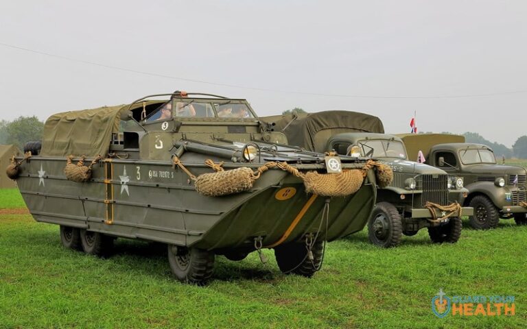 US Army Height And Weight Standards Requirements Chart